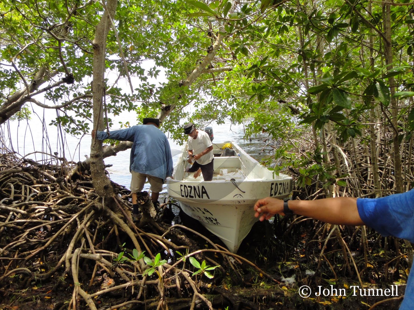 Ixtoc I Expedition: 30 years later: 2010