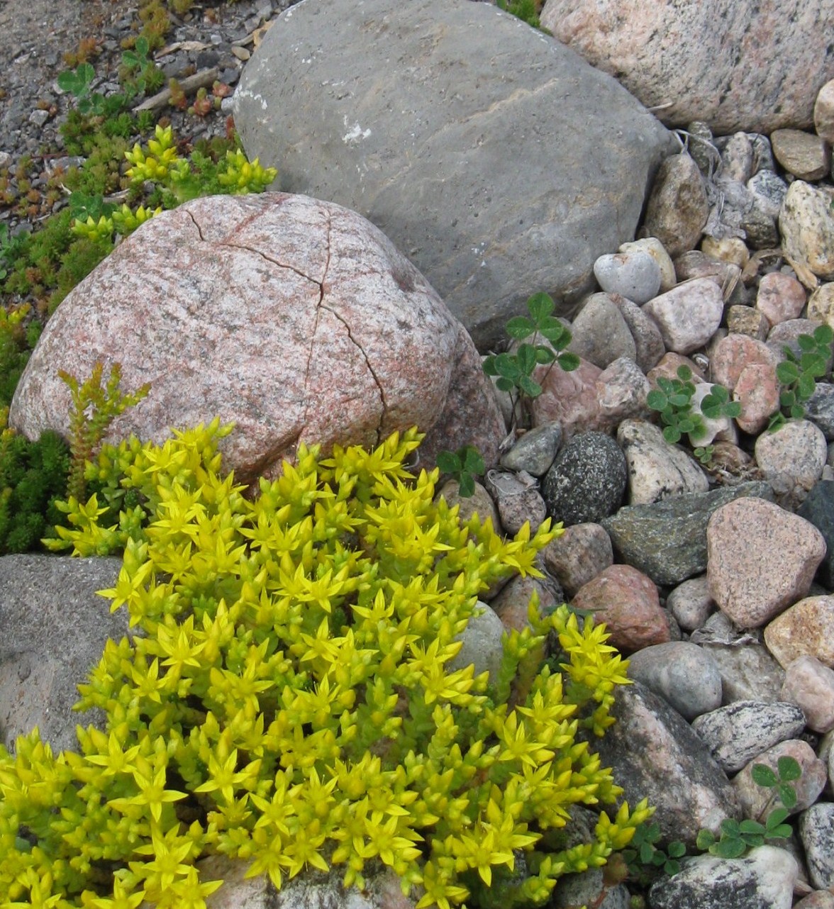 Garden Dream: ROCK YOUR LANDSCAPE