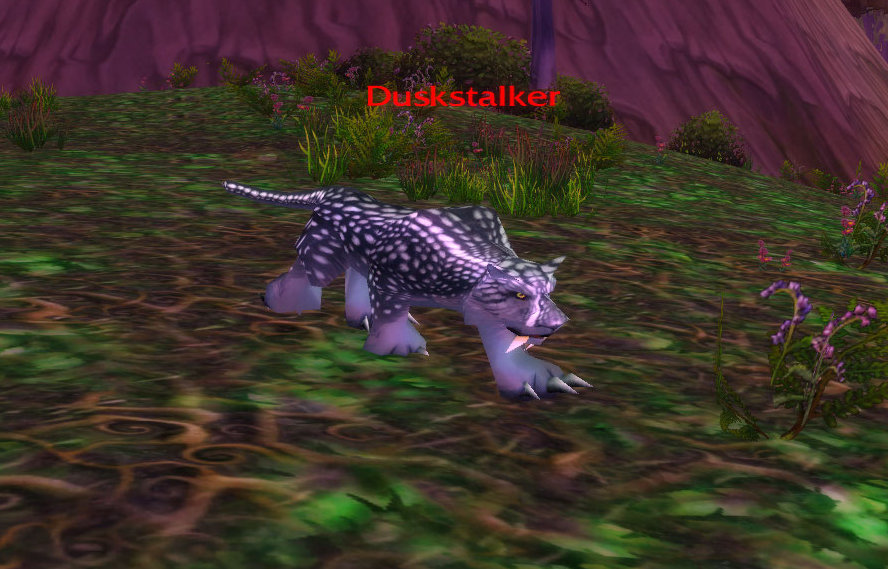 Glimpses of Azeroth: Spotted nightsaber: Duskstalker