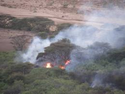 A GLIMPSE ON ECOSYSTEM: IMBALANCE ON ECOSYSTEM