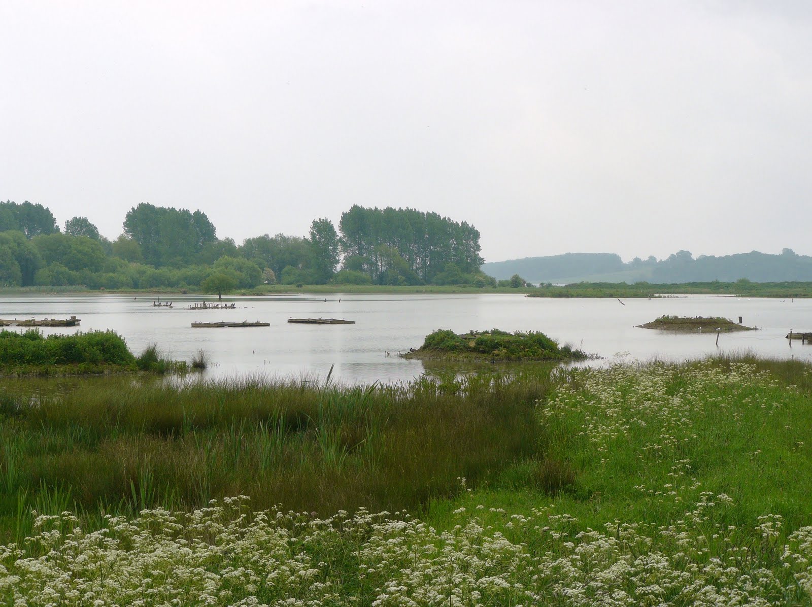 Martin Brookes Oakham: Rutland Water Bird Reserve Egleton