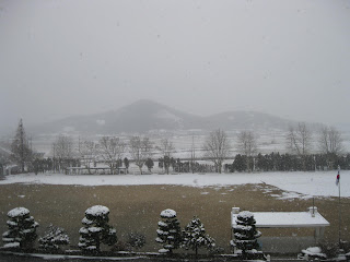 South Korea Beauty: Winter Snow in Gunsan