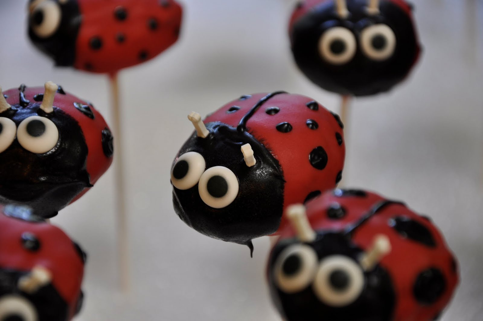 Little Miss Sweet & Spicy: Flight of the Bumble Bee + Lady Bug Cutie Pops!