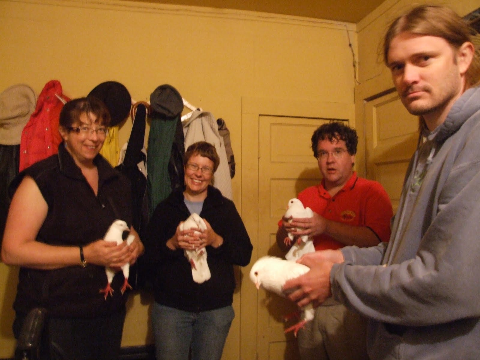 the rescue report: Help deep clean and repair my SF pigeon coop?