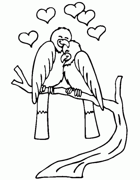 DIBUJOS DE PERICOS PARA COLOREAR - Imagui