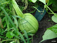 The Quilt Rat: Faux Bubble Jet Set Recipe