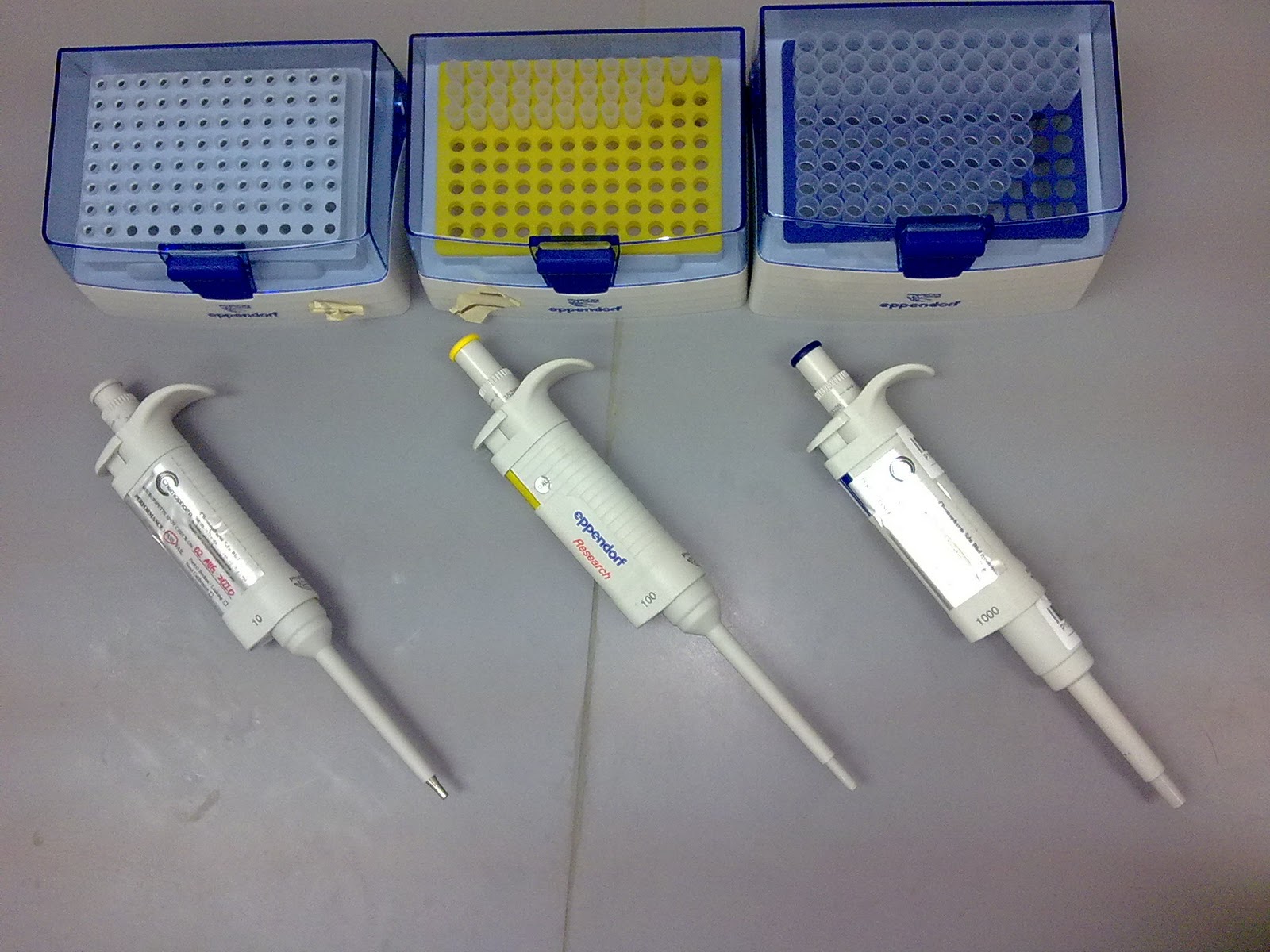 HARPACTIRINAE BIOTECHNOLOGY: Micro pipettes