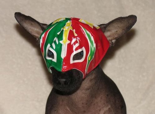 Нови идеи: Бал с маски