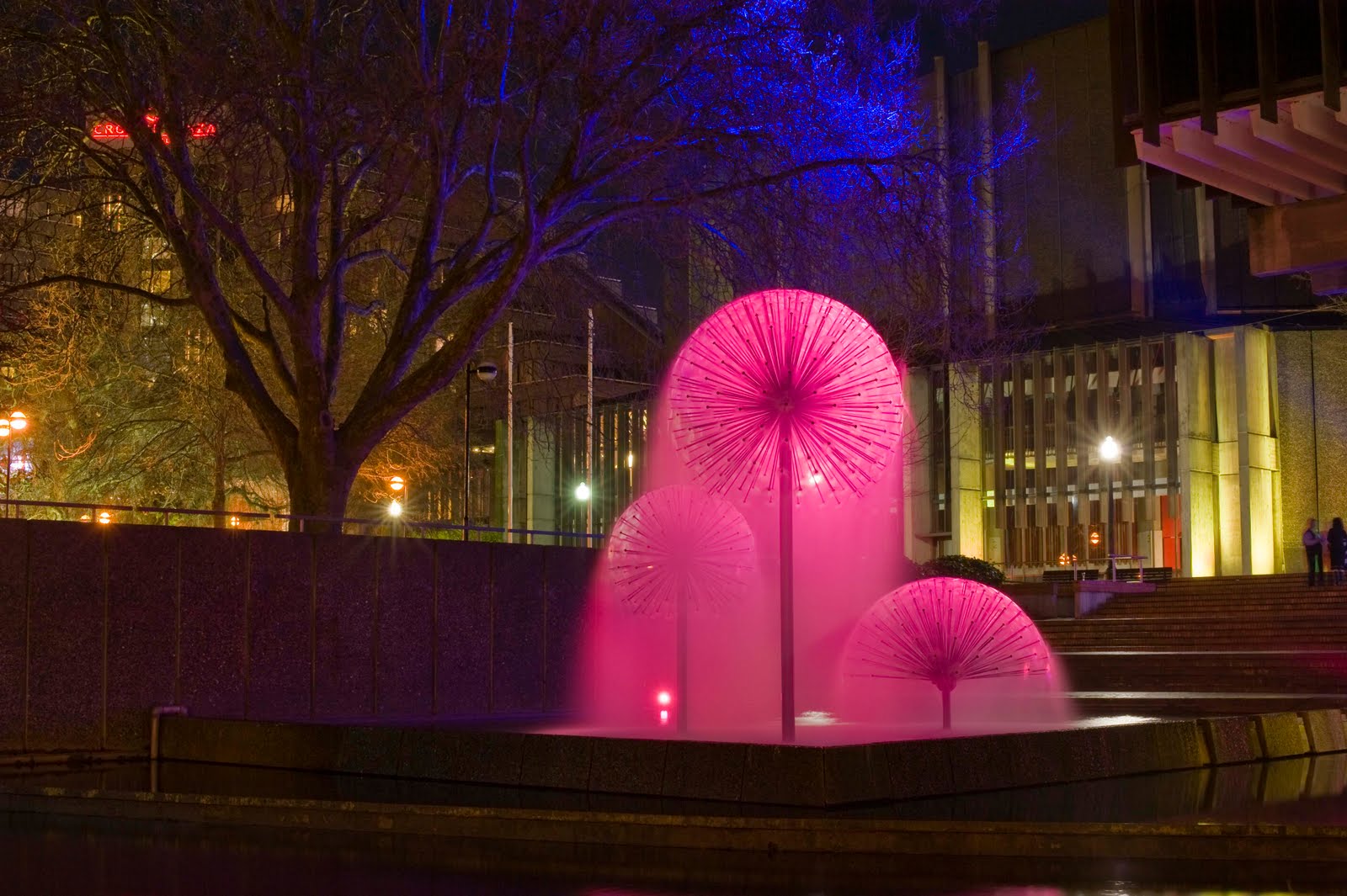 Beyond the Ordinary: Color Kinetics in Christchurch!