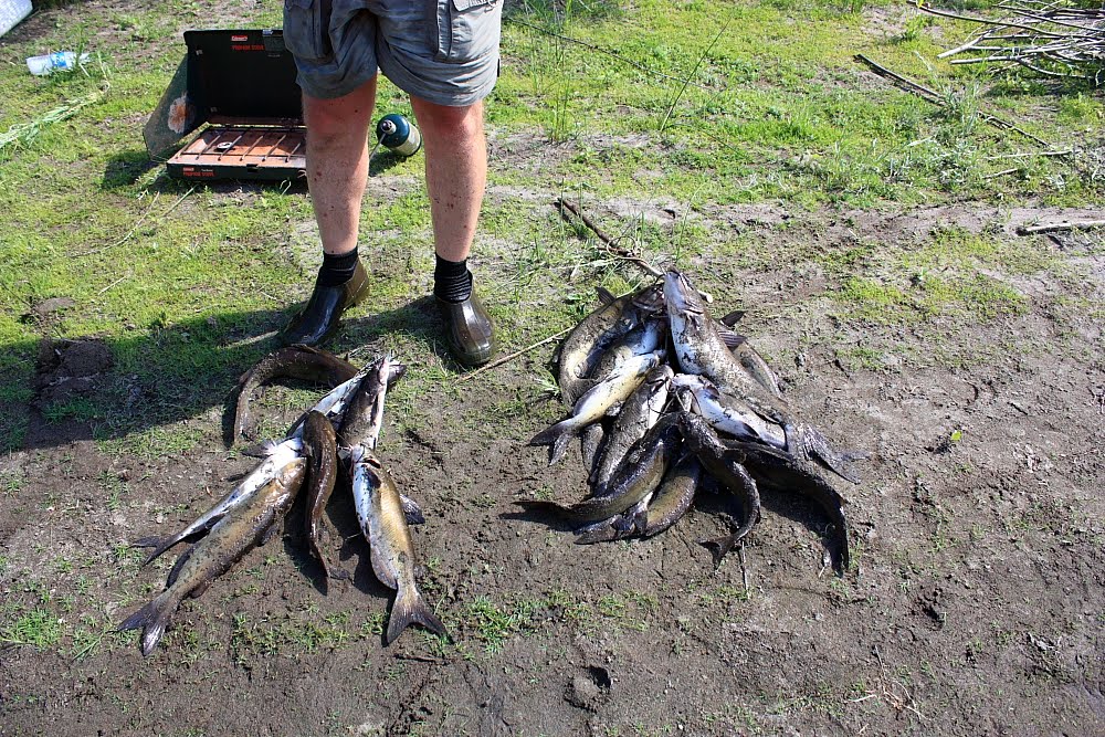Owyhee Flyer: Subsistence Fishing