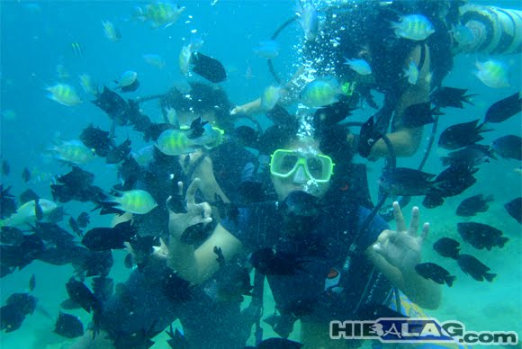 An Aqua-Lung driven adventures down underwater: Scuba diving in Samal ...
