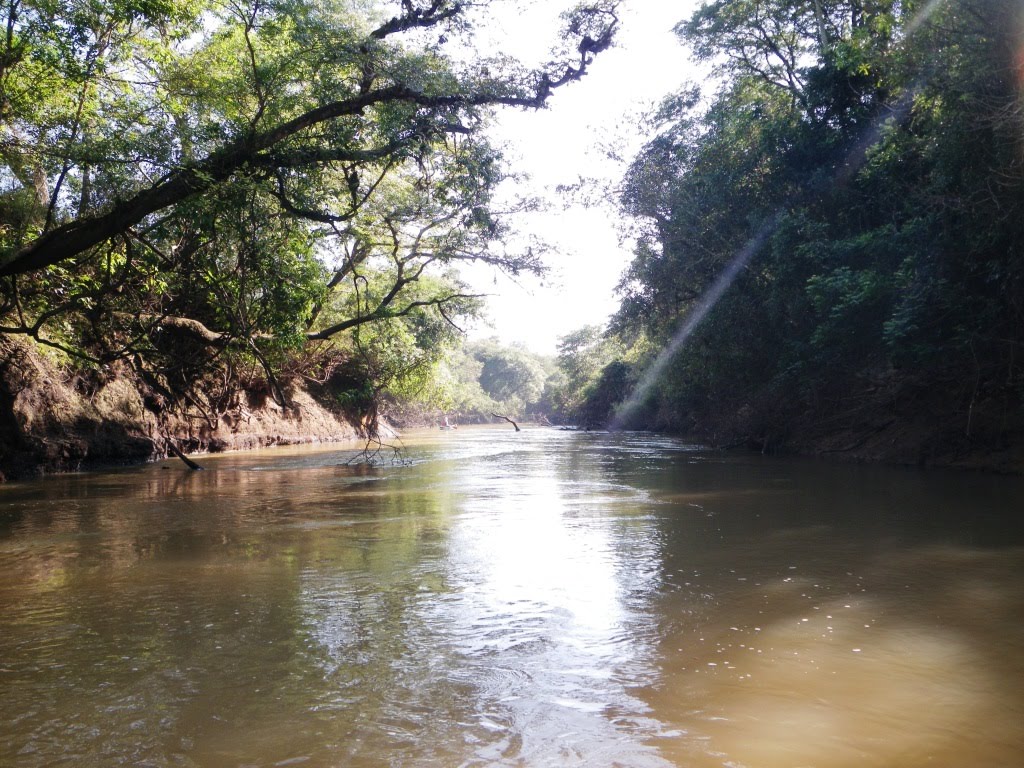 CANOAGEM E AFINS: Fotos da expedição ao rio Sarapuí