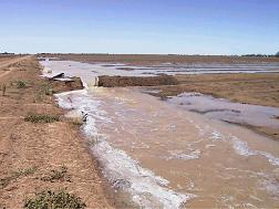 sarusara: Irrigation Methods In Agriculture