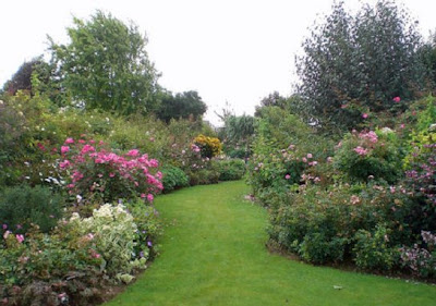 Nibelle et Baudouin: Le jardin de la roseraie André Eve à Morailles ...