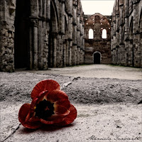 Fotografi nel Web: Fotografi nel web #48: Manuela Innocenti (Urania)