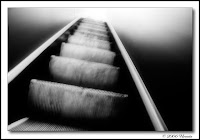 Fotografi nel Web: Fotografi nel web #48: Manuela Innocenti (Urania)