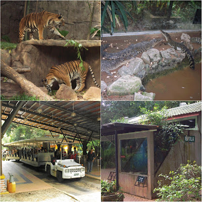Come To Visit Malacca Today!: Zoo Melaka
