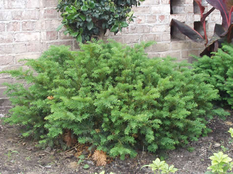 Heritage Nursery West