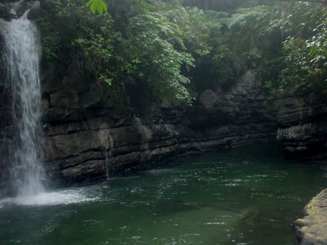 turismoune: Presentación del Libro: “Yungas Peruanas – Bosques Montanos ...