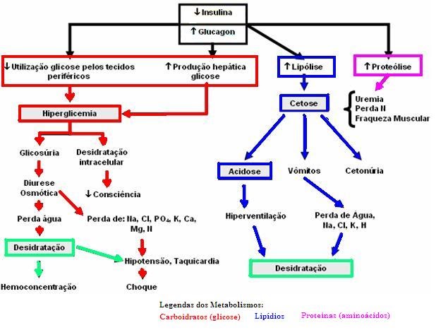 fisioterapia: • LIPÓLISE E LIPOGÊNESE