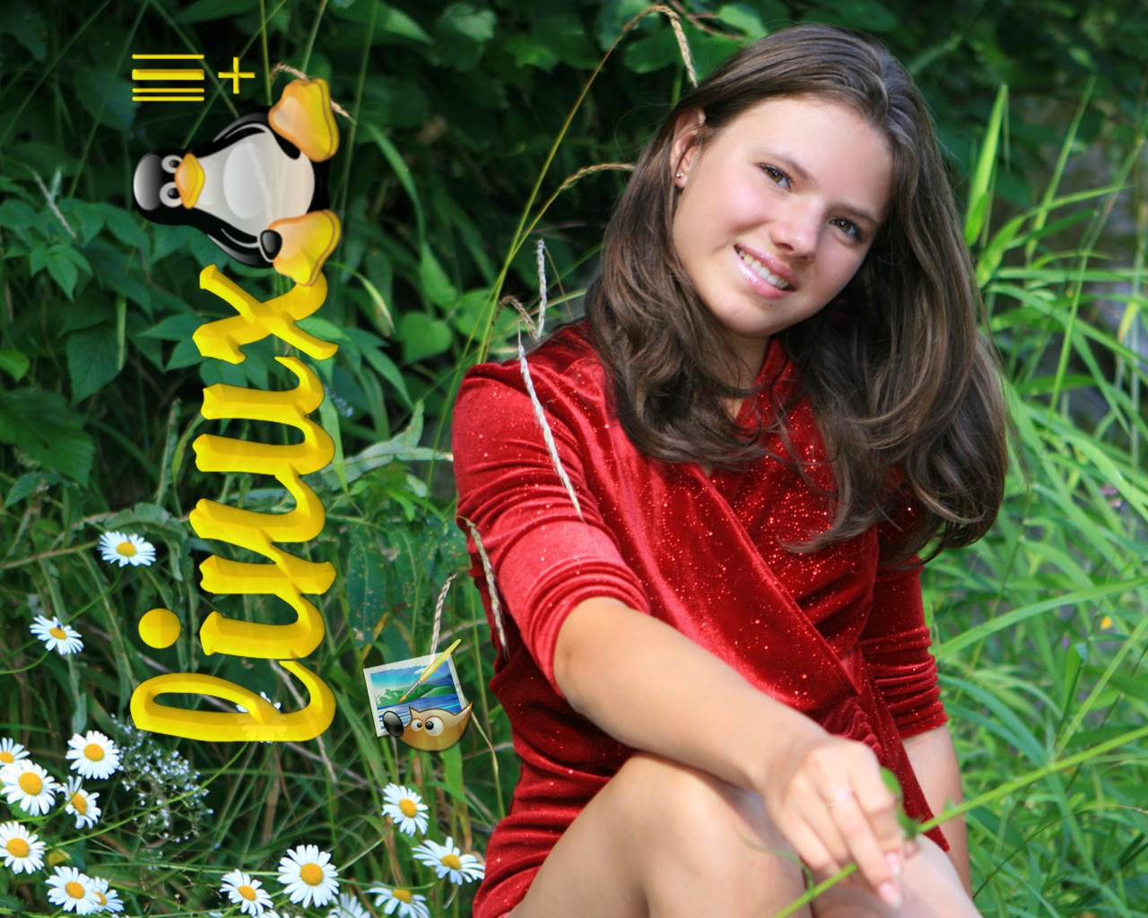 Sandra Model papel de parede-Gimp-Tux (image)