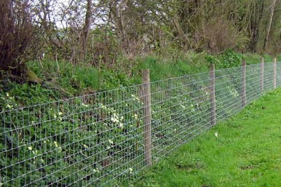 Stock Panel Fencing - Fence Panel SuppliersFence Panel Suppliers