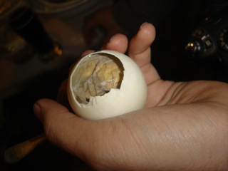 Footscray Food Blog: Balut