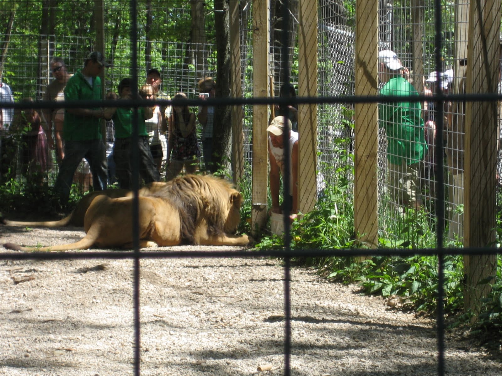 The Bontempo Family: Spring visit at DeYoung Zoo!