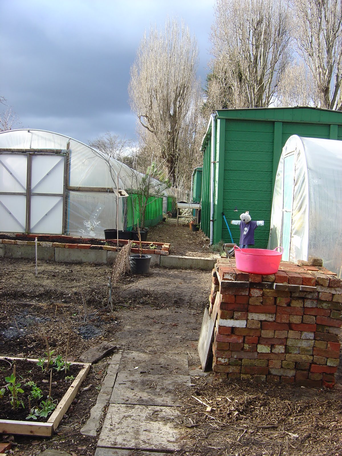 GROW MAYOW COMMUNITY GARDEN