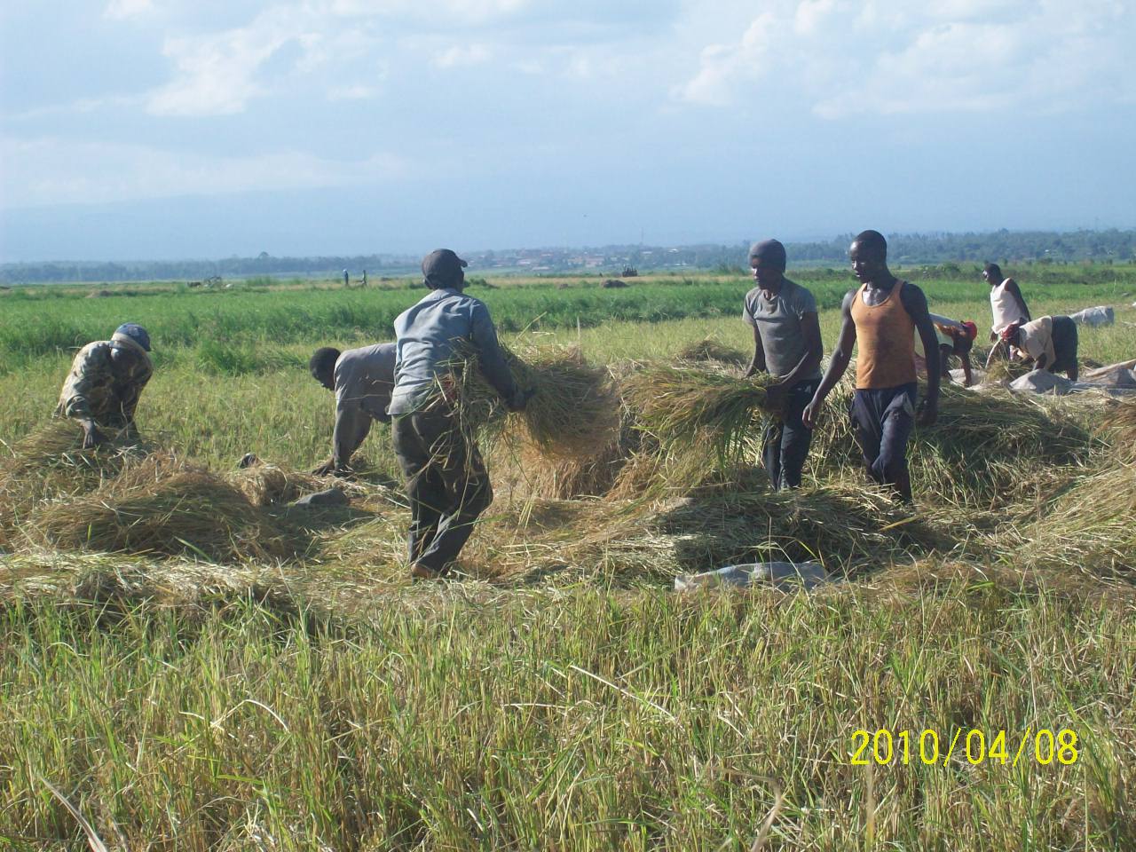 Mwea University & College Students Association: The best of Mwea