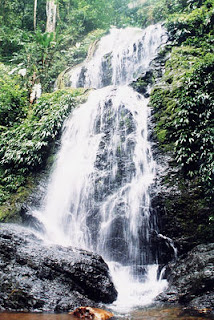 alle hartjes: Toerisme in Suriname