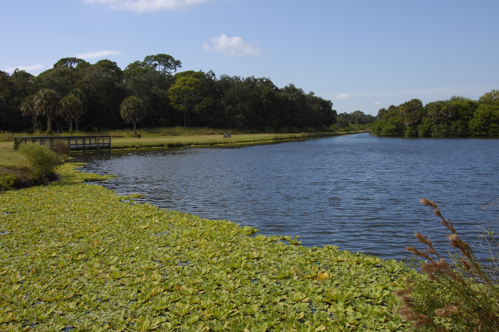 Fish, Eat, Drink and be Mary: Red Bug Slough