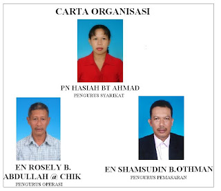 DINIS ENTERPRISE: CARTA ORGANISASI SYARIKAT