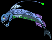 Deep Sea Creatures