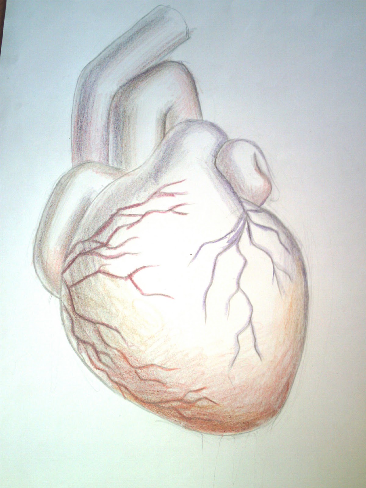 Grafica si pictura de Corina Chirila: O inima