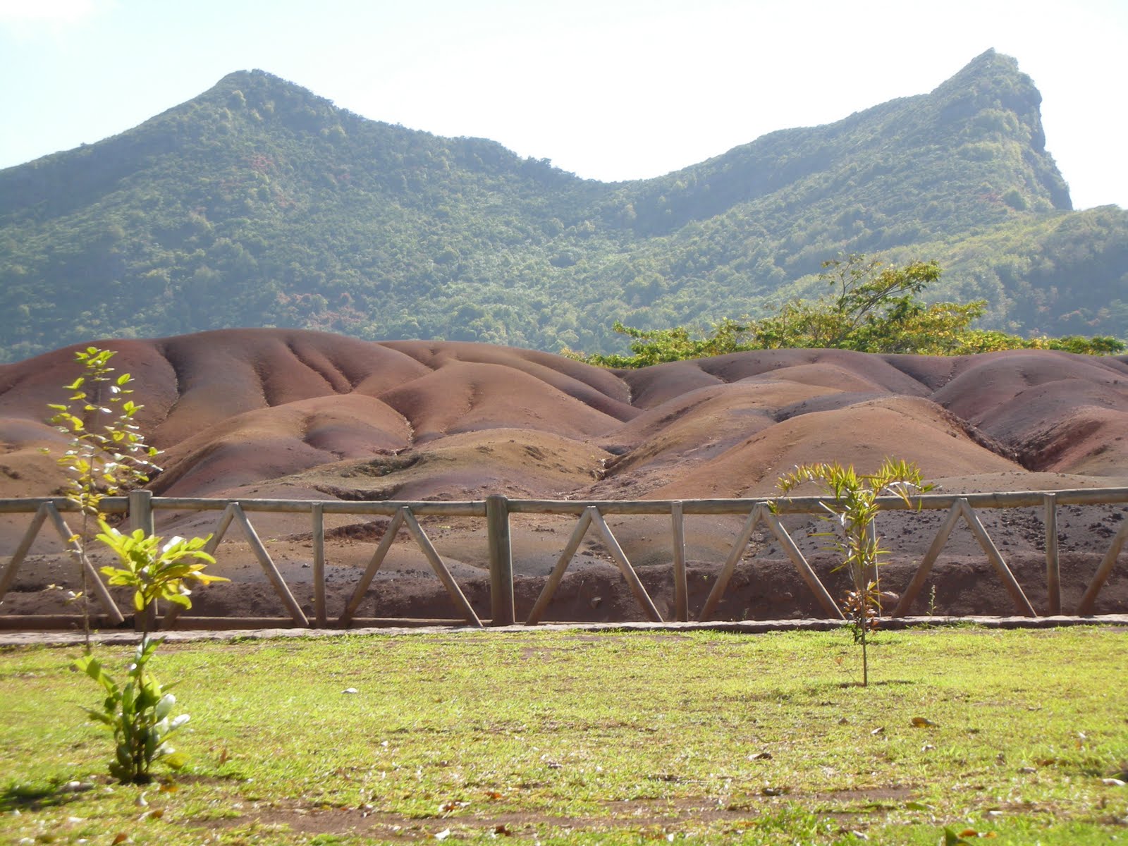 Dormant Volcano "Trou aux Cerfs" in Mauritius (PHOTOS) | BOOMSbeat