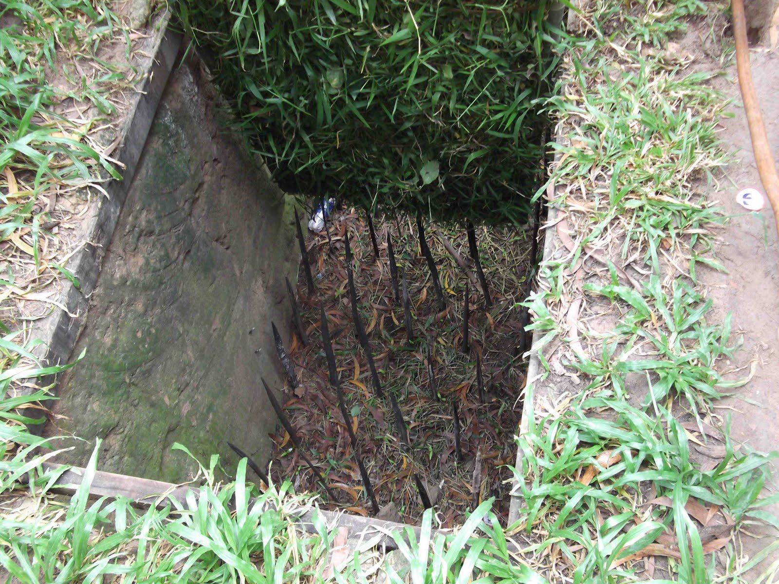 Brad's Worldwide Adventures: January 2011