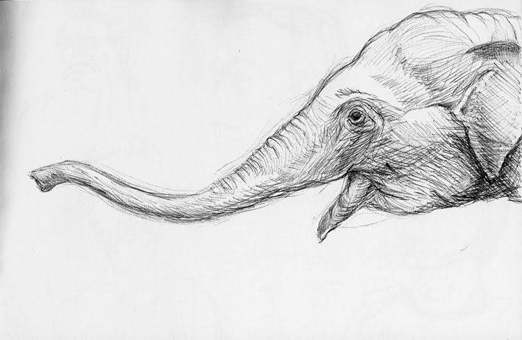 Blake A. Chamness: Batman and Elephant