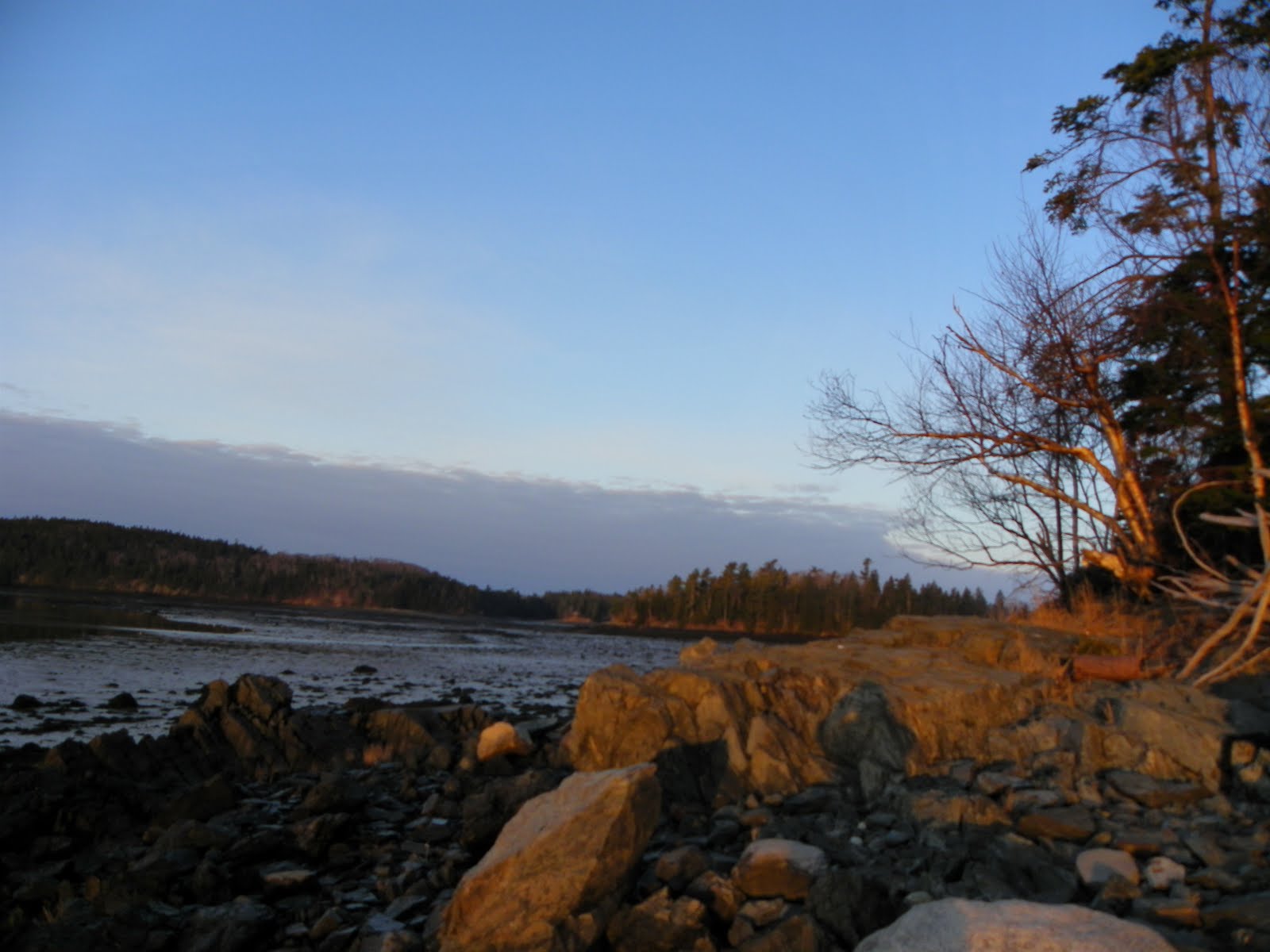 The Adventures of Joshua and Tilley: Spoon Island Sunrise, Part 4 ...