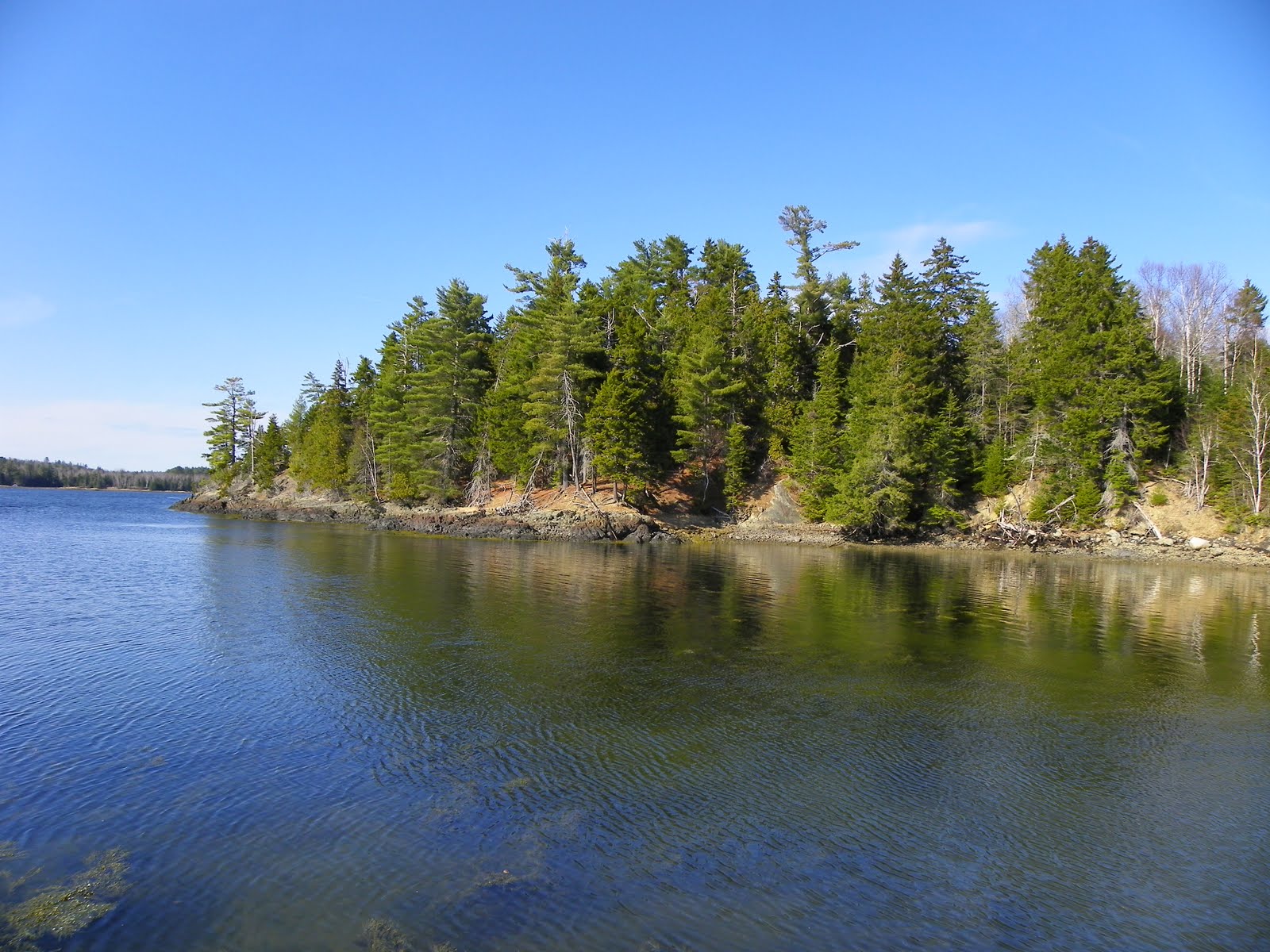The Adventures of Joshua and Tilley: Spoon Island Afternoon Hike, Part ...