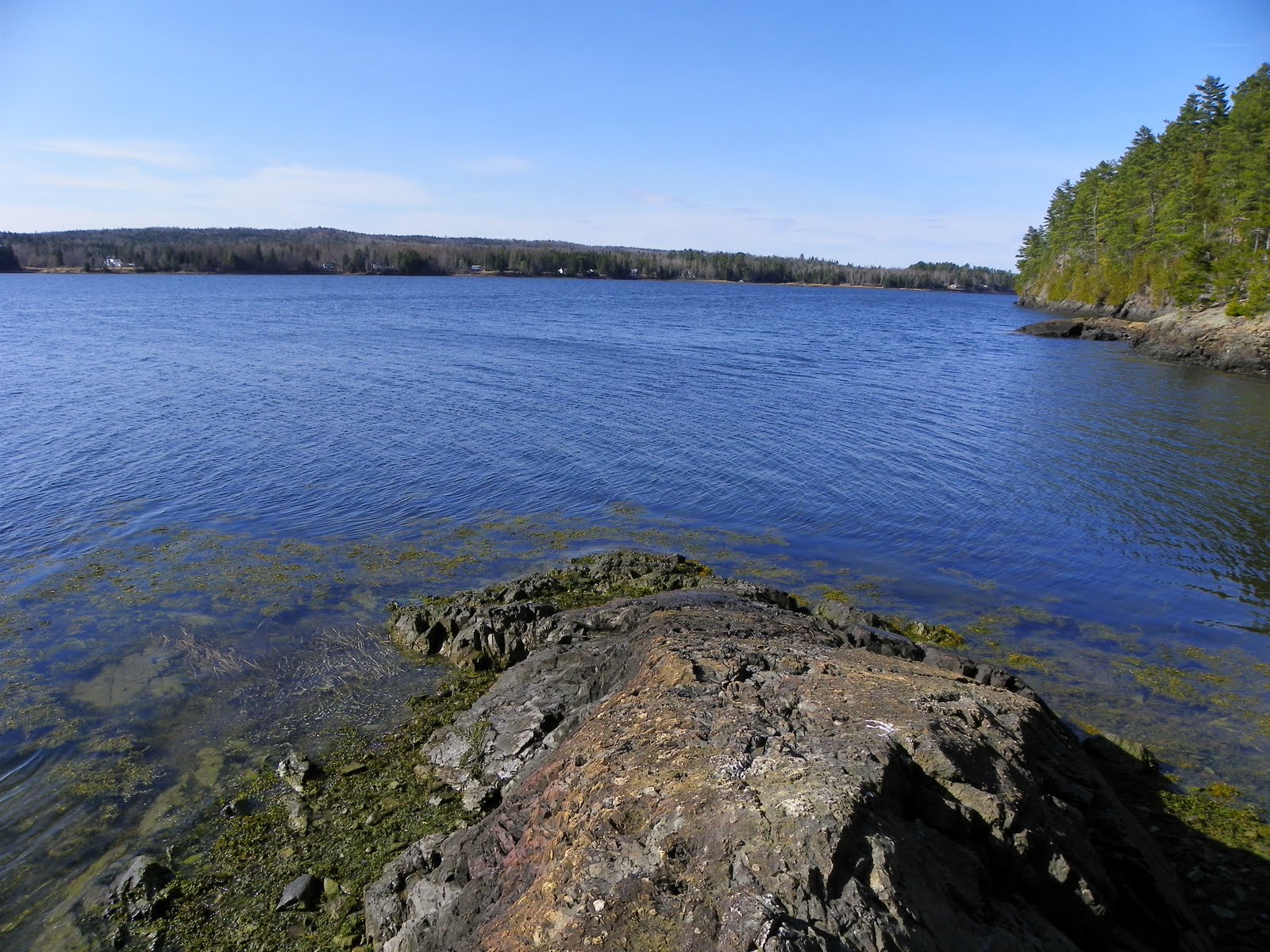 The Adventures of Joshua and Tilley: Spoon Island Afternoon Hike, Part ...