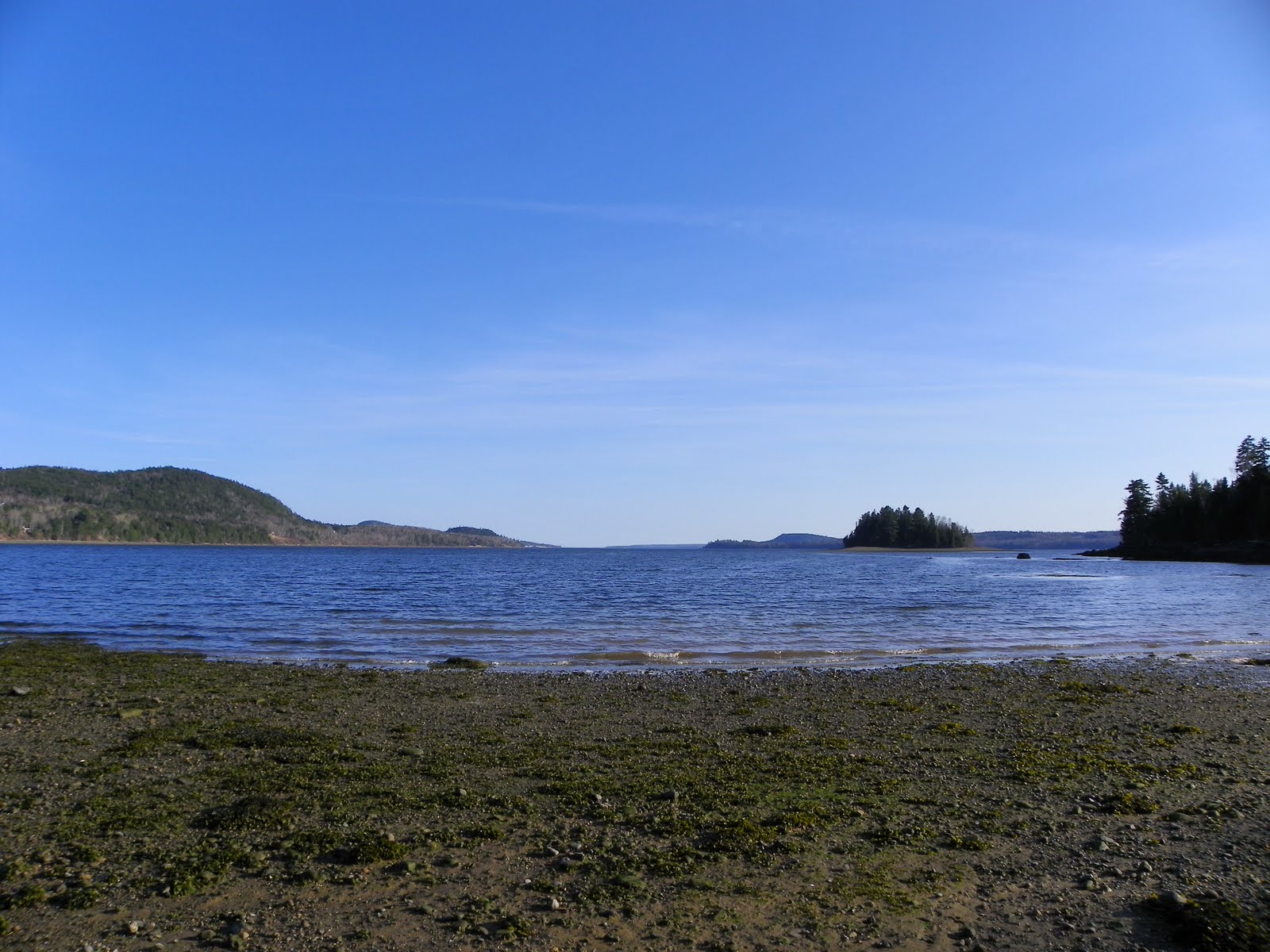 The Adventures of Joshua and Tilley: Spoon Island Evening Hike, Part 3 ...