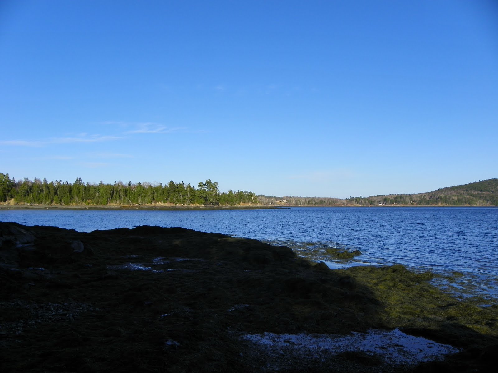The Adventures of Joshua and Tilley: Spoon Island Evening Hike, Part 4 ...