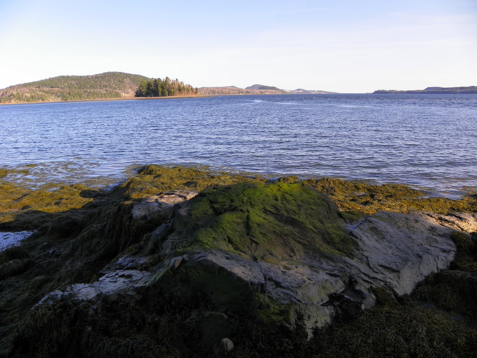 The Adventures of Joshua and Tilley: Spoon Island Evening Hike, Part 4 ...