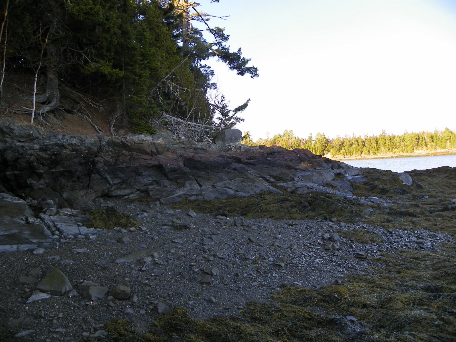 The Adventures of Joshua and Tilley: Spoon Island Evening Hike, Part 4 ...