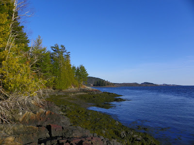 The Adventures of Joshua and Tilley: Spoon Island Evening Hike, Part 4 ...