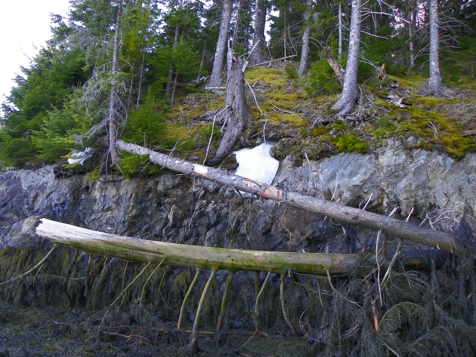 The Adventures of Joshua and Tilley: Spoon Island Evening Hike, Part 4 ...