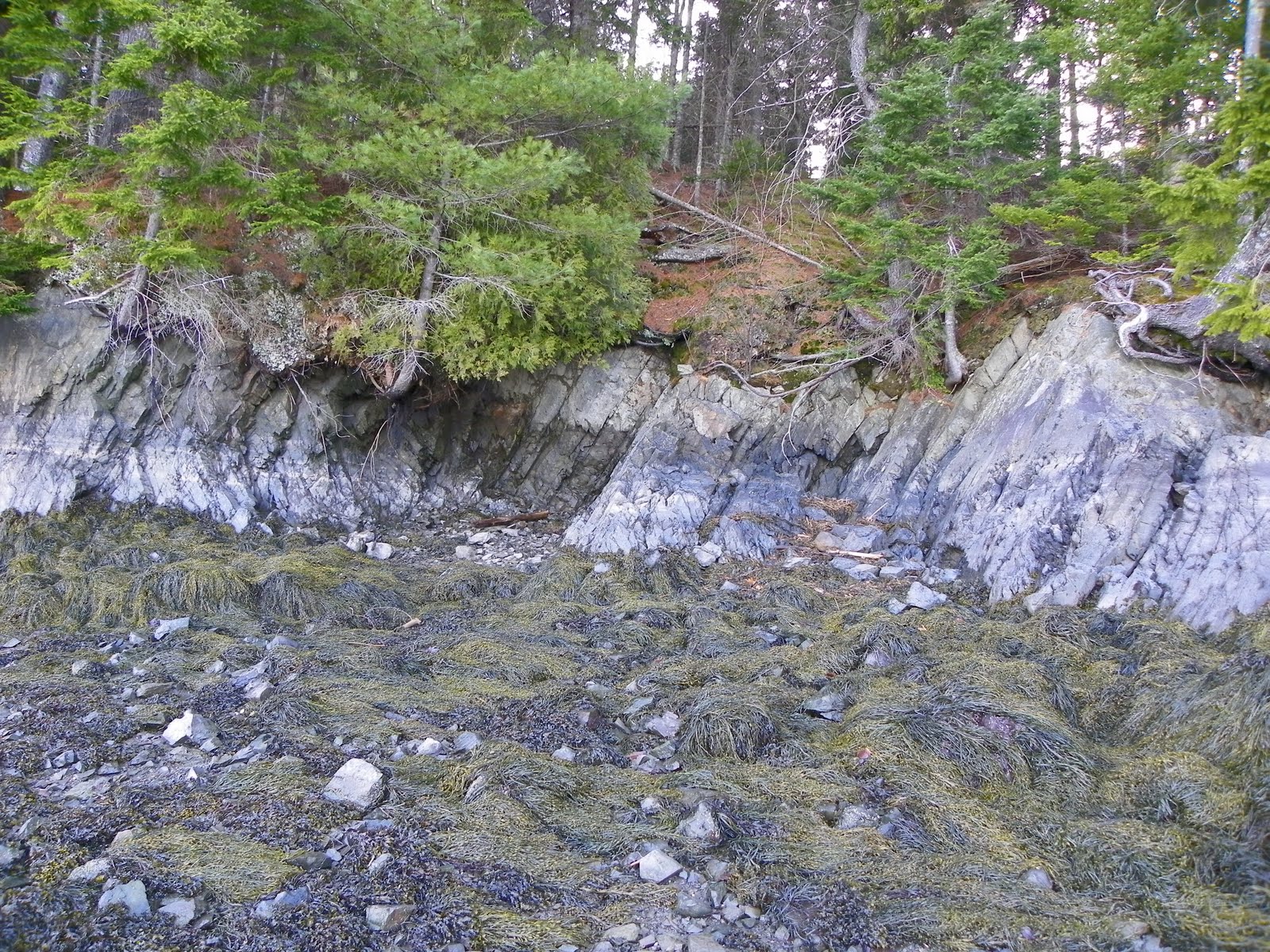 The Adventures of Joshua and Tilley: Spoon Island Evening Hike, Part 4 ...