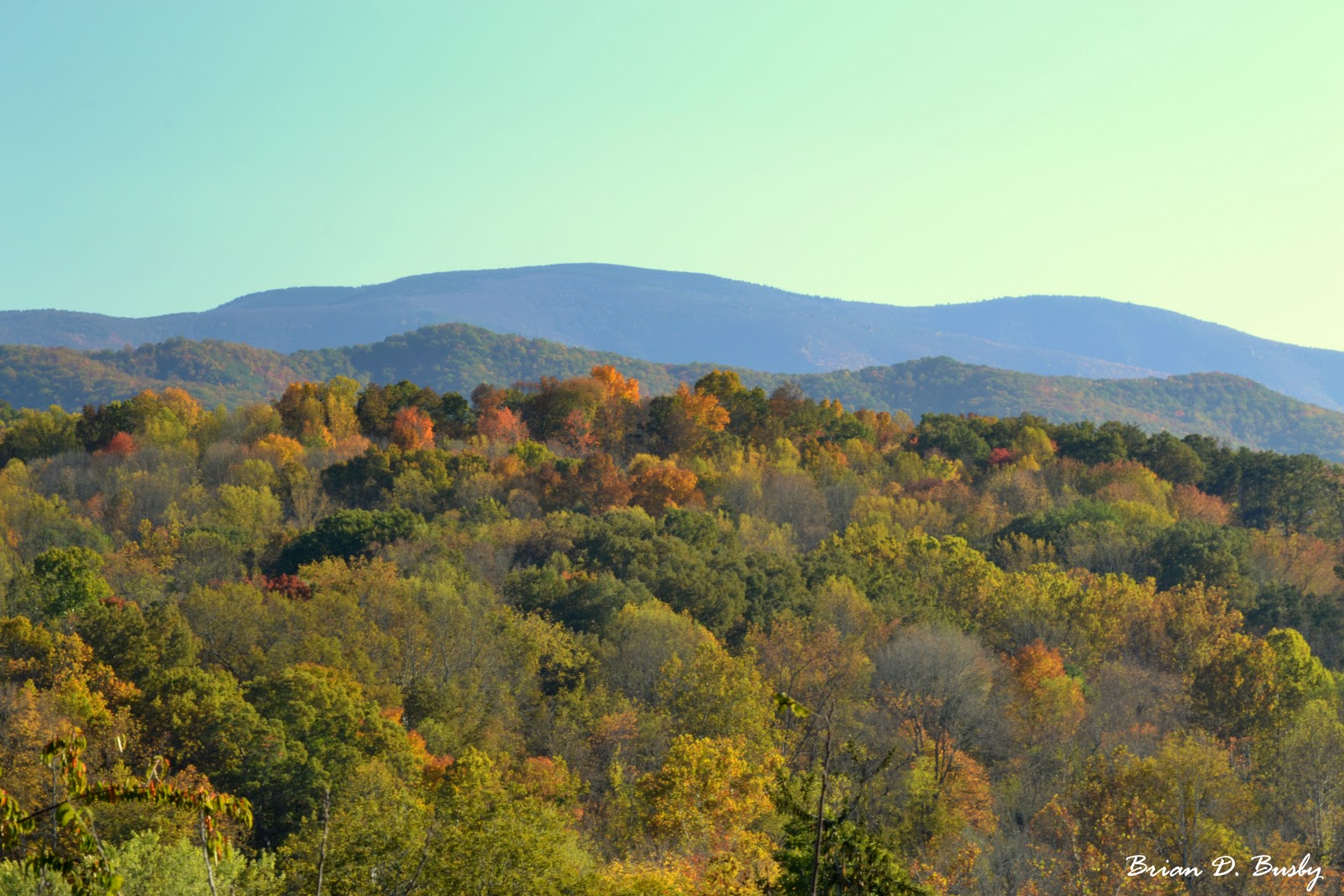 Ole Carolina: Unaka Mountain