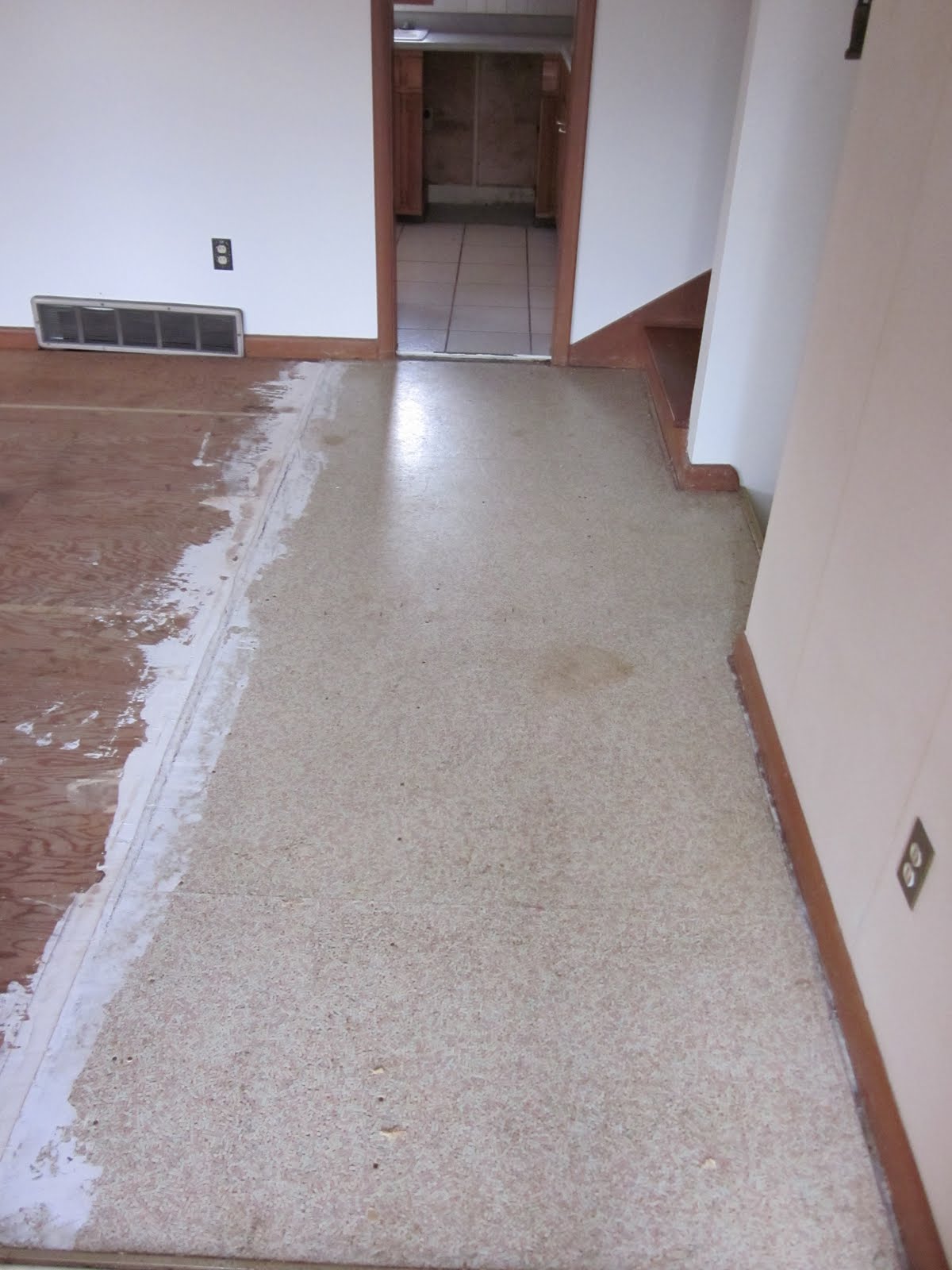 Split-Level Adventures: Selecting Floor Tile for the Entryway and ...